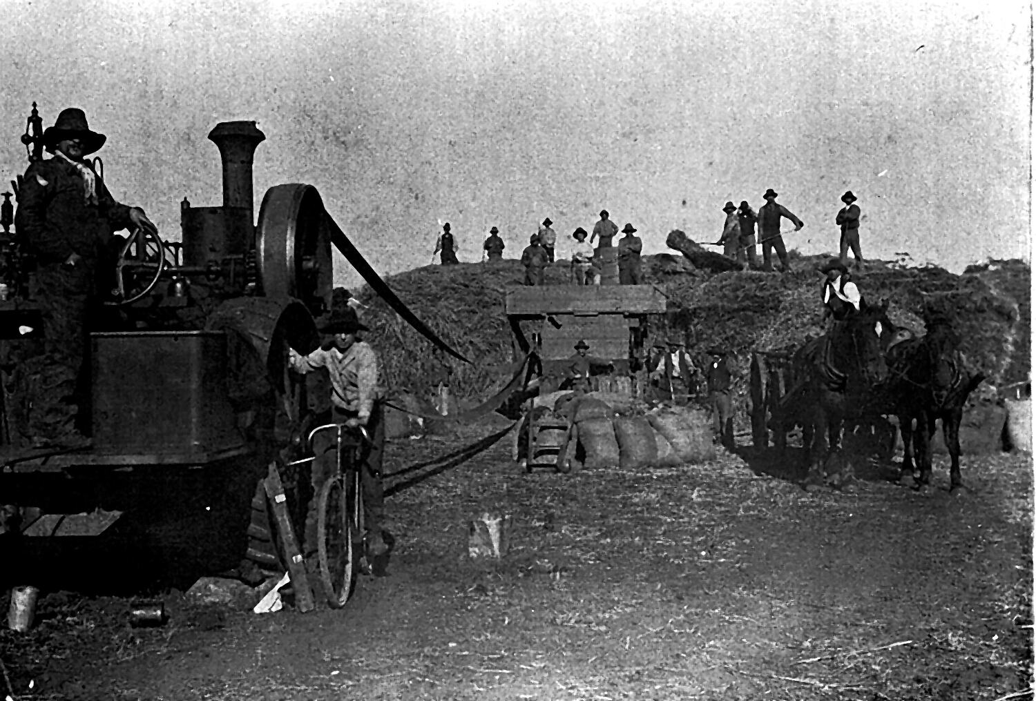 Negative - Threshing Time on 'Ivy Rock' Station, Addington, Victoria ...