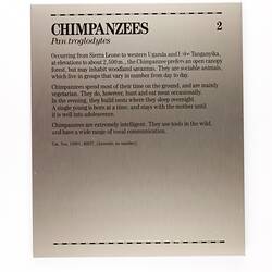 Exhibition Label - Chimpanzees, Museum of Victoria, circa 1985