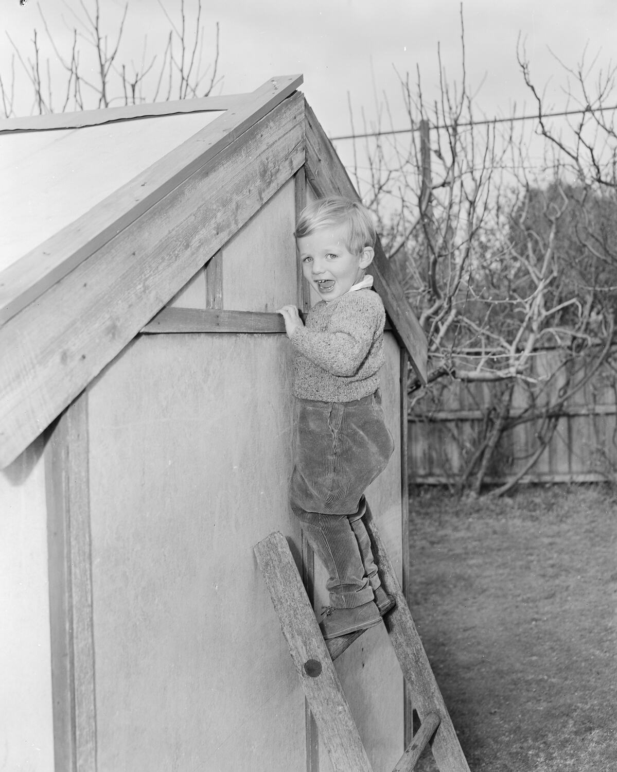 Negative - Boy Standing on a Ladder, Malvern, Victoria, 23 Aug 1959