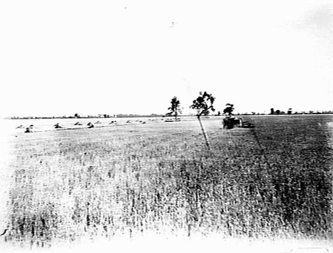 Photograph - H.V. McKay Massey Harris, Farm Equipment Manufacture ...