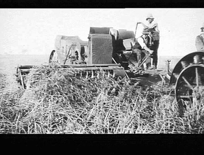 Photograph - H.V. McKay Massey Harris, Farm Equipment Manufacture ...
