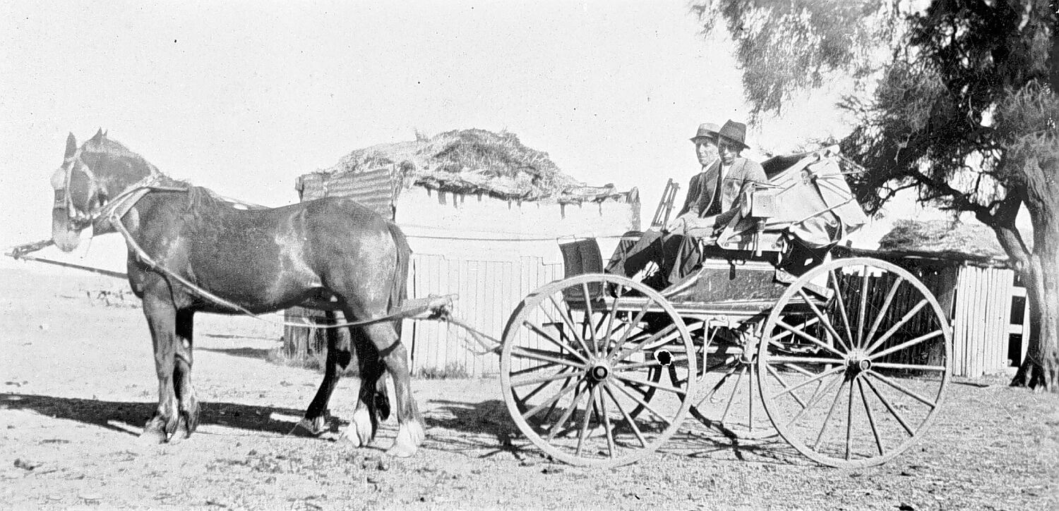 Negative - Wail East, Victoria, circa 1920