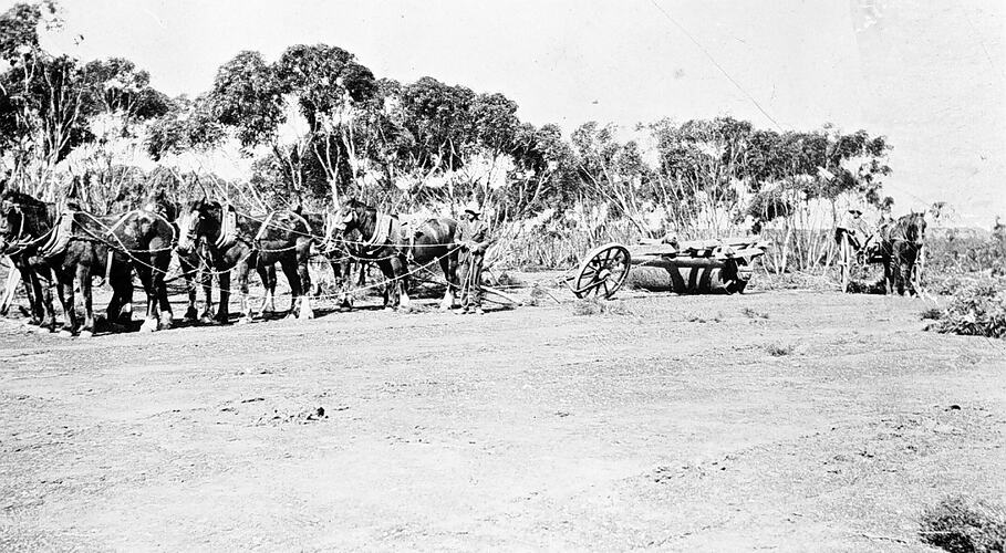 Negative - Manangatang, Victoria, circa 1920