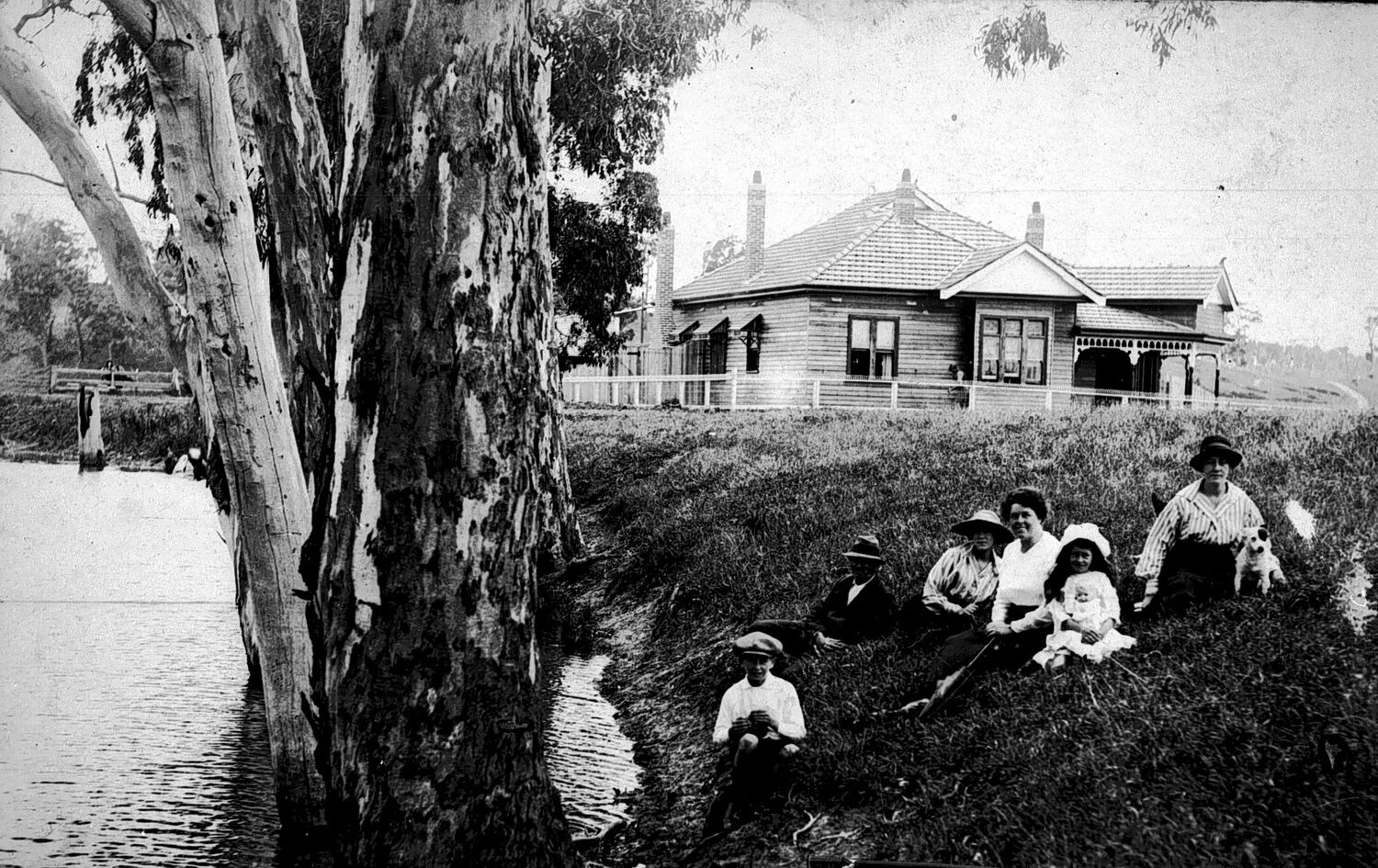 Negative - Maffra District, Victoria, circa 1910