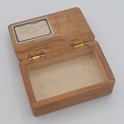 Insect Specimen Box - National Museum, Melbourne, 1950-2000