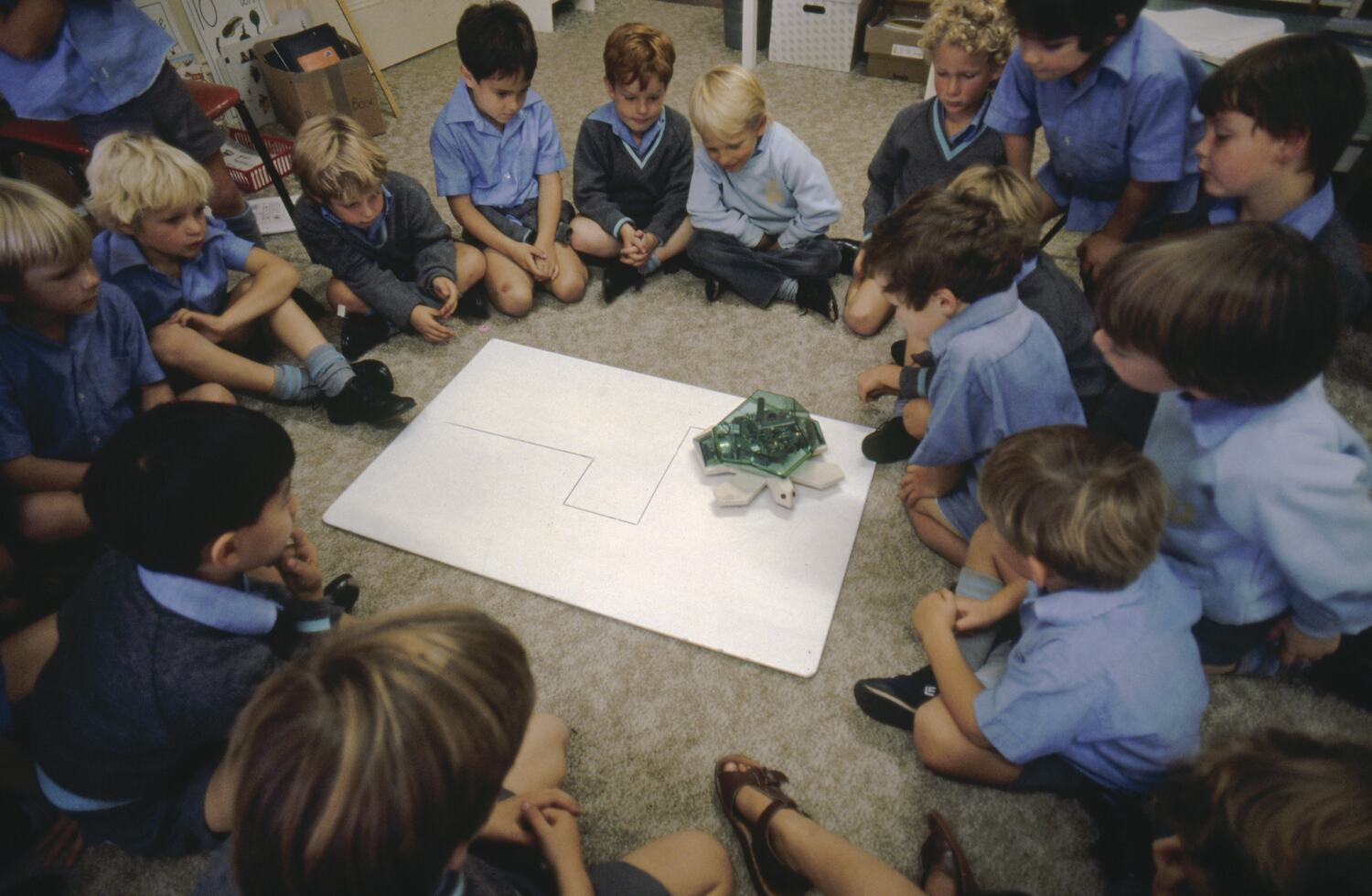 Digital Photograph - Prep Valiant Turtle Lessons, Geelong Grammar ...