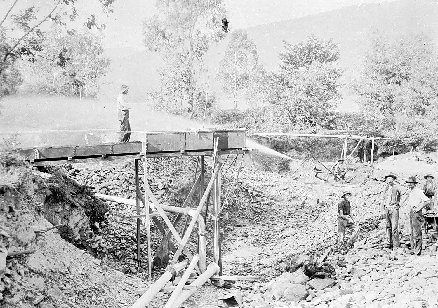 Negative - Bright District, Victoria, circa 1890