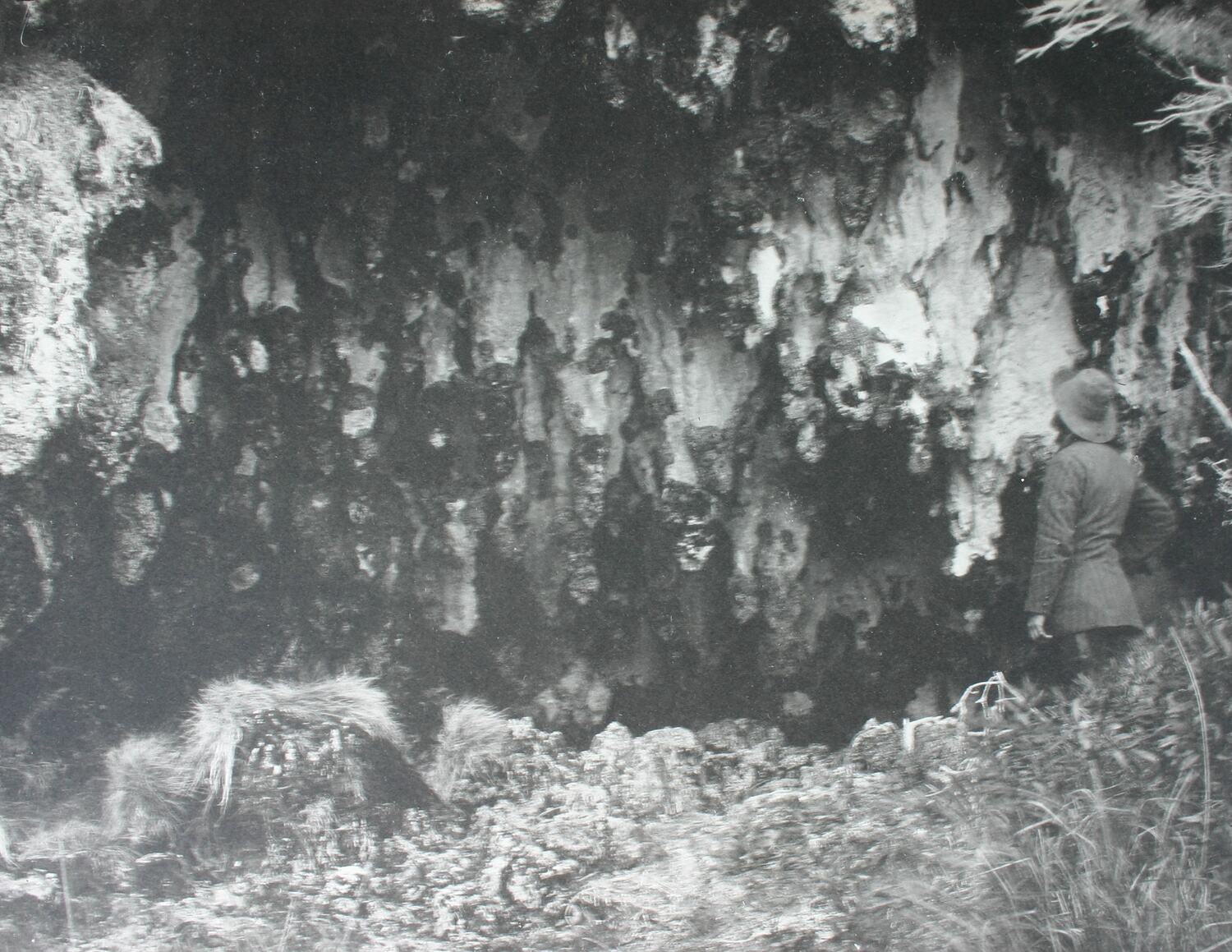 Photograph - Dripping Wells Limestone Caves, King Island, 1887