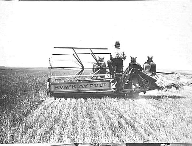 Photograph - H.V. McKay Pty Ltd, Farm Equipment Manufacture & Field ...