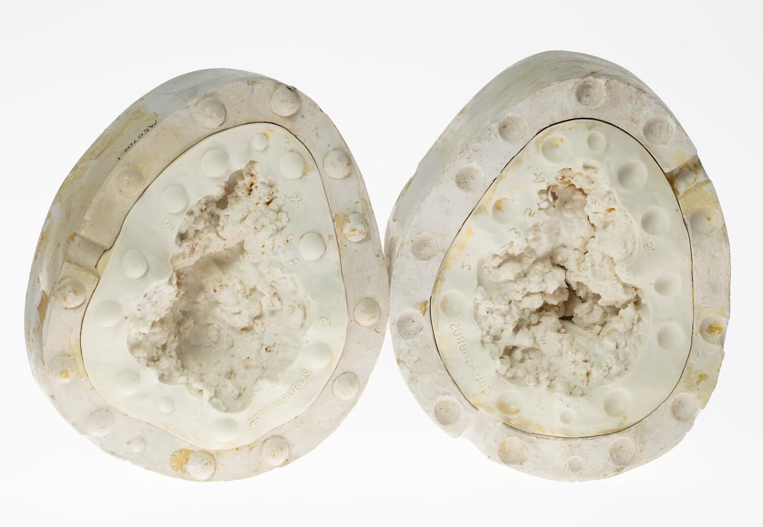 Gold Nugget Mould - 'Goldasaurus', Mould (for nugget replica)