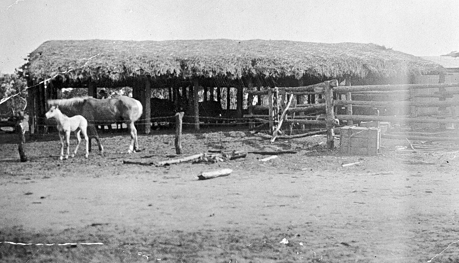 Negative - Manangatang, Victoria, circa 1930