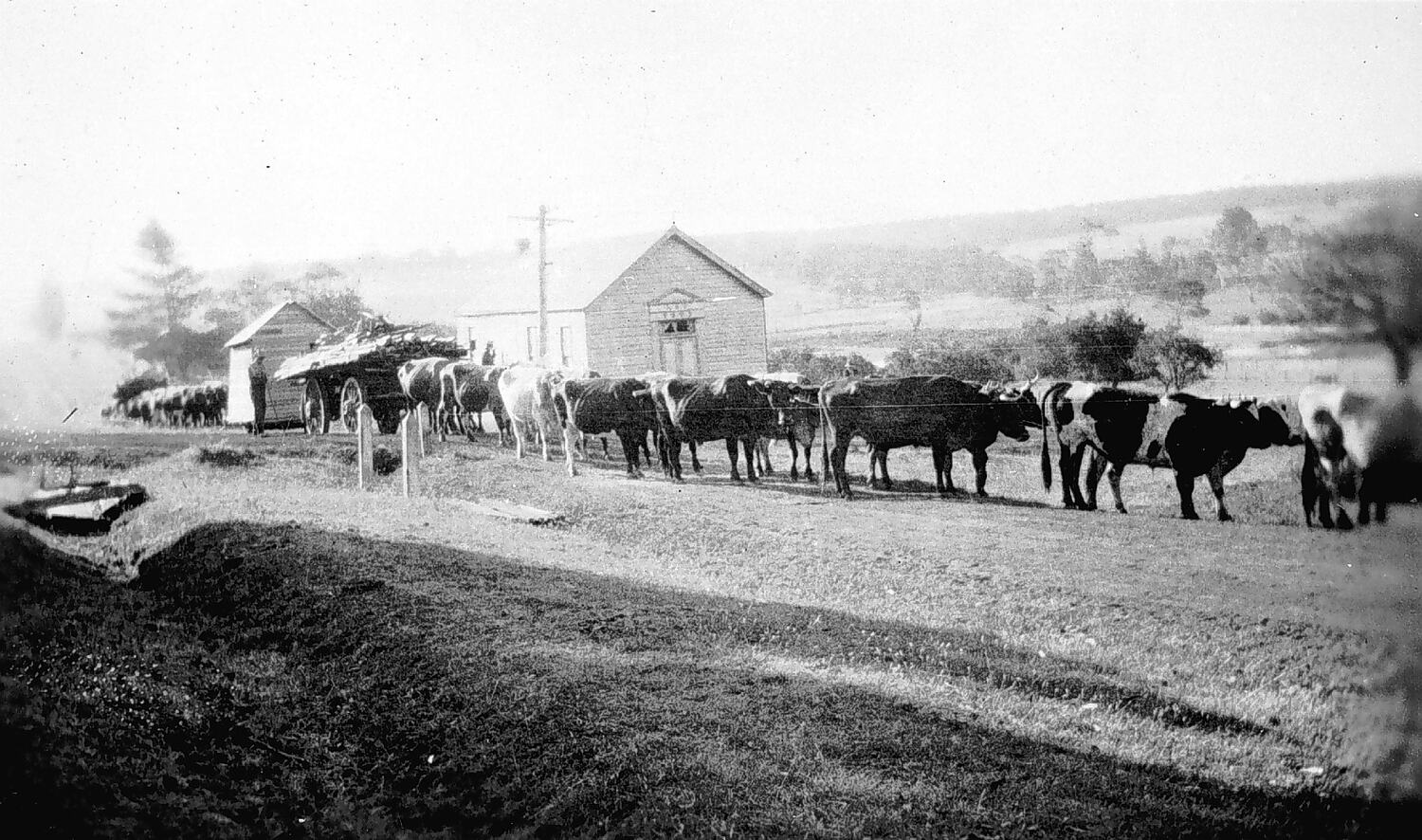 Negative - Digby, Victoria, circa 1930