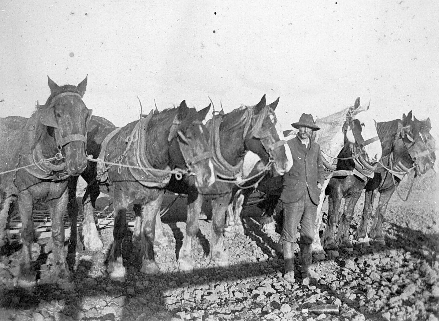 Negative - Denison, Victoria, circa 1900