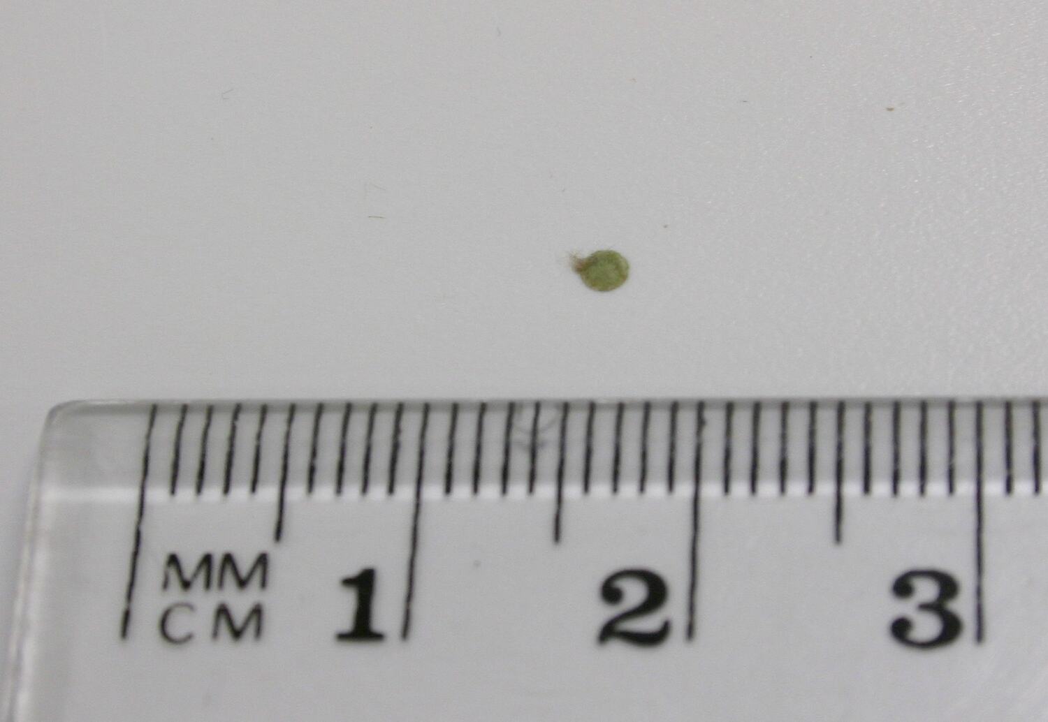 Tape Chad - Friden, Flexowriter, 1955-1964