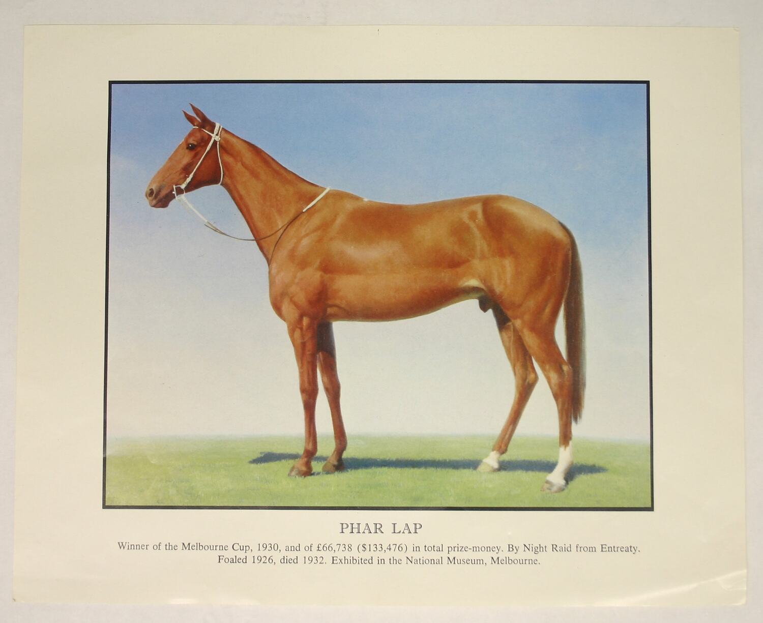 Poster - National Museum of Victoria, Phar Lap, 1980s