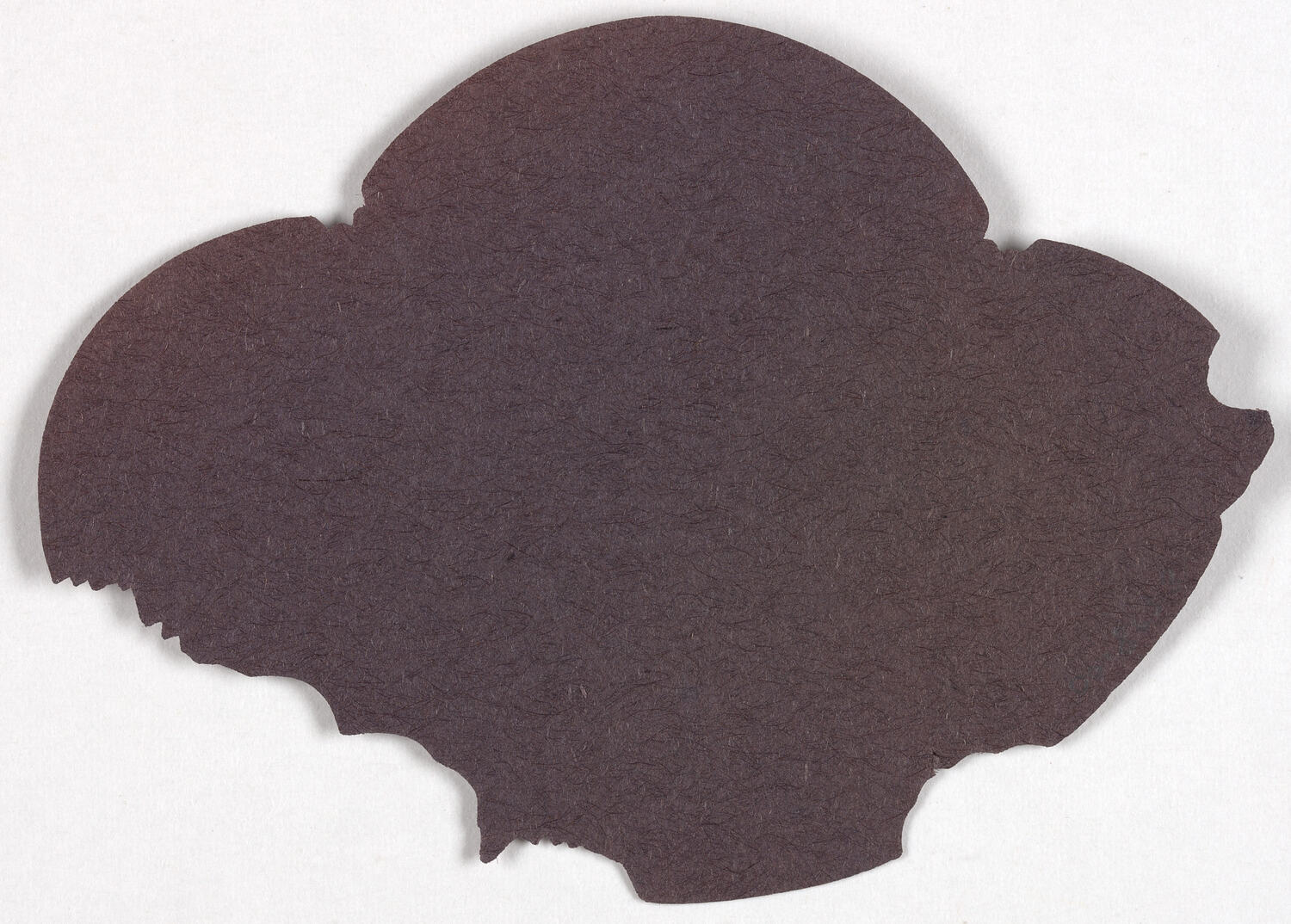 Negative Vignette - Cloud, circa 1900