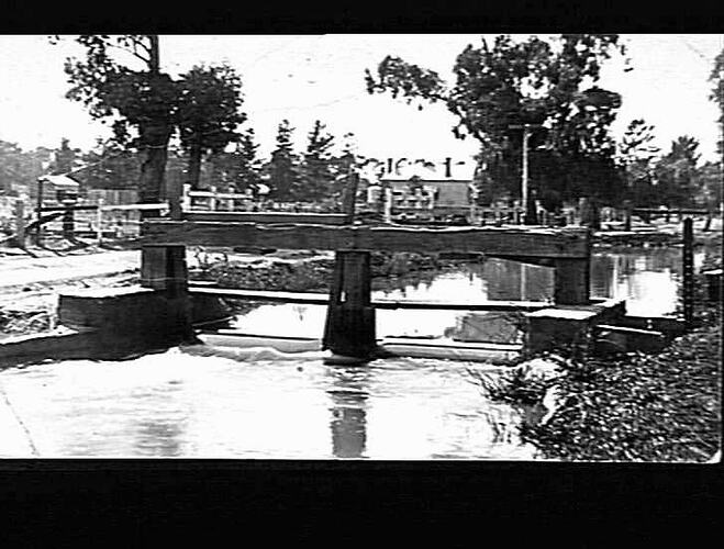 Negative - by Lilian L. Pitts, Merrigum, Victoria, circa 1910s