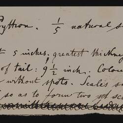 The Prodromus Collection