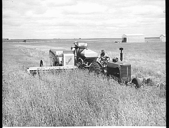 Photograph - H.V. McKay Massey Harris, Sunshine No.4 P.T.O. Header ...