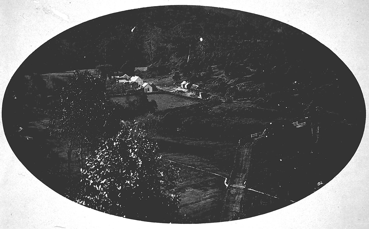 Negative - Talbotville, Victoria, circa 1915