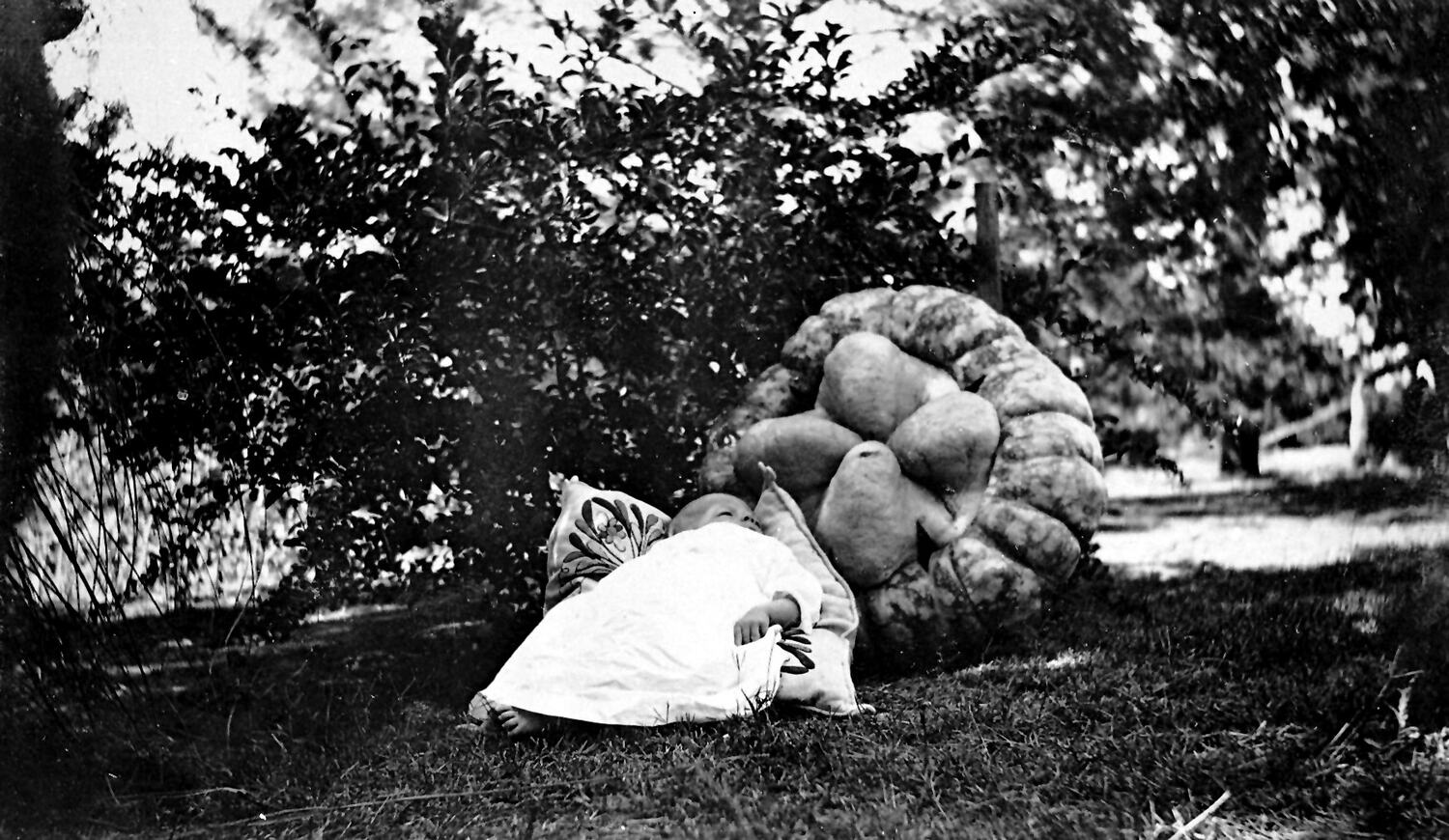 Negative - Merbein, Victoria, 1924