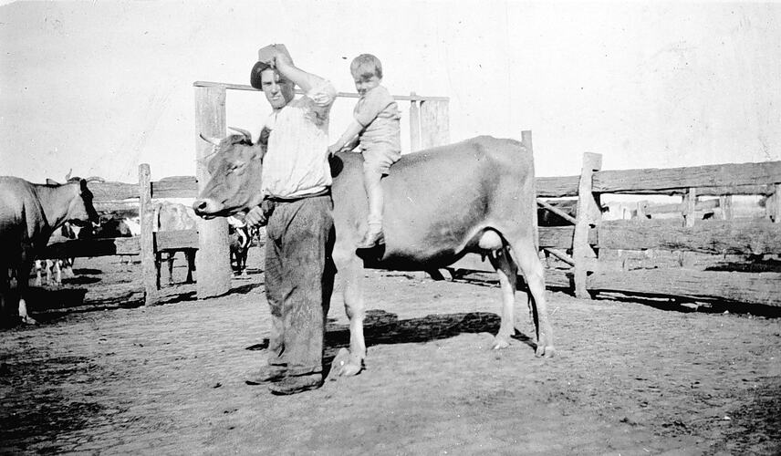Negative - Newry District, Victoria, circa 1925