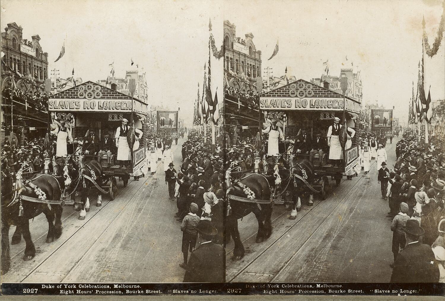 Stereograph - Federation Celebrations, Eight Hour Day Procession ...