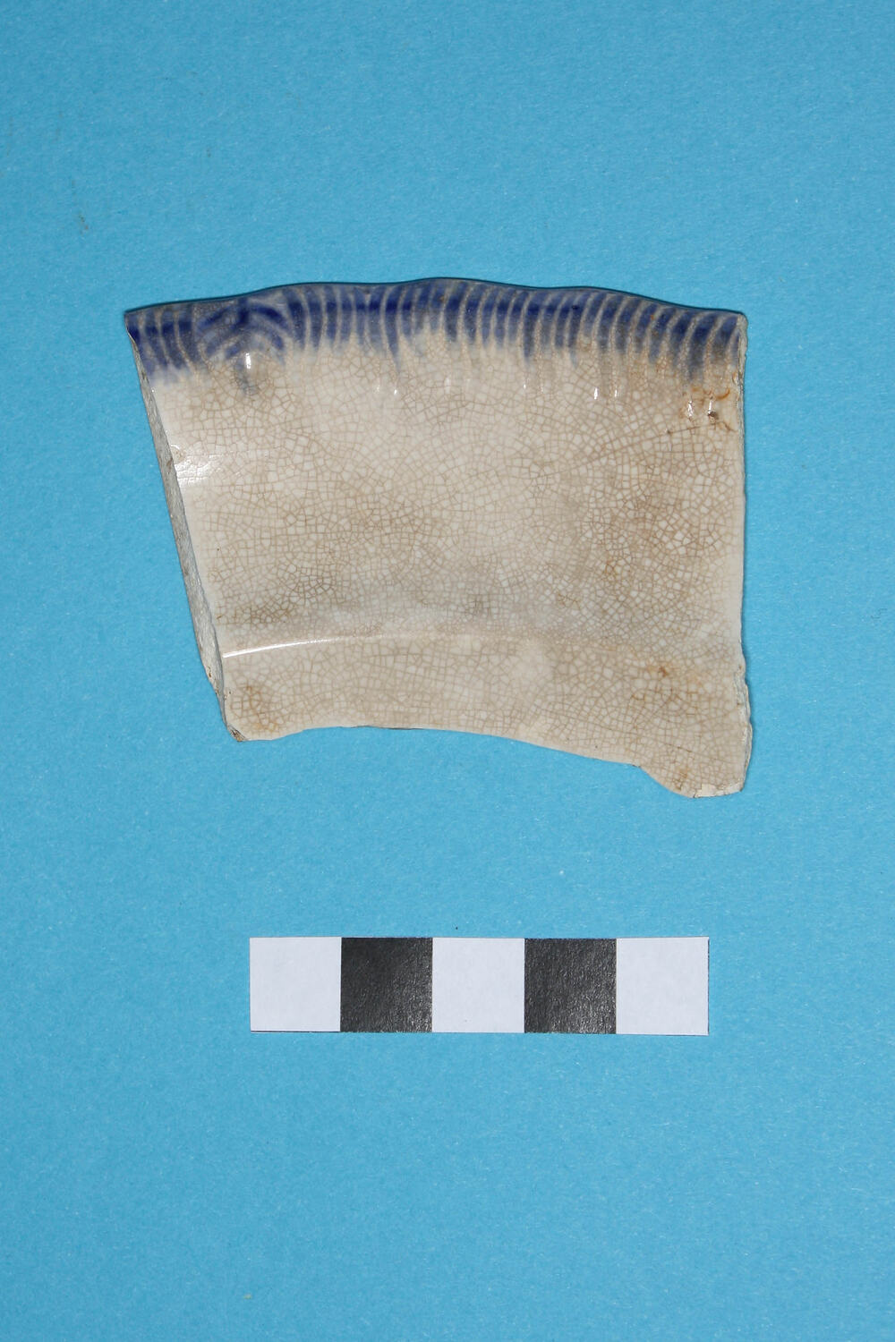 Dinner Plate - Whiteware, Blue, Relief, Shell-edge, 1775-1900 (Fragment)