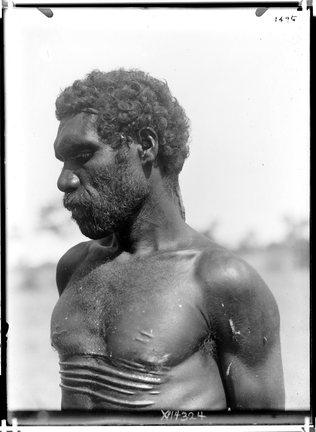 Glass plate. Yanyuwa. Borroloola, Gulf, Northern Territory, Australia ...