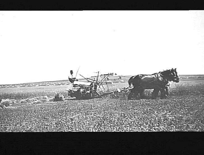 Photograph - H.V. McKay Pty Ltd, Farm Equipment Manufacture & Field ...