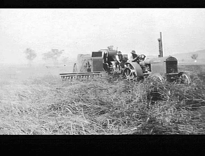 Photograph - H.V. McKay Massey Harris, Farm Equipment Manufacture ...
