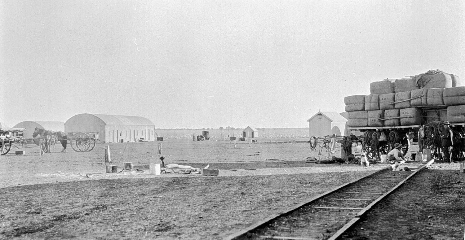 Negative - Rail Tracks & Horse & Cart on Paddock at 'Portland Downs ...
