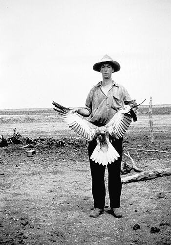 Negative - Nyah West, Victoria, circa 1930