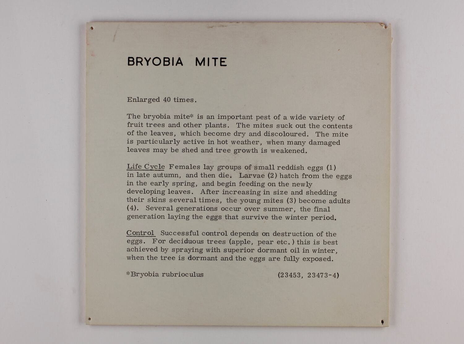 Exhibition Label - Bryobia Mite, Industrial & Technological Museum ...