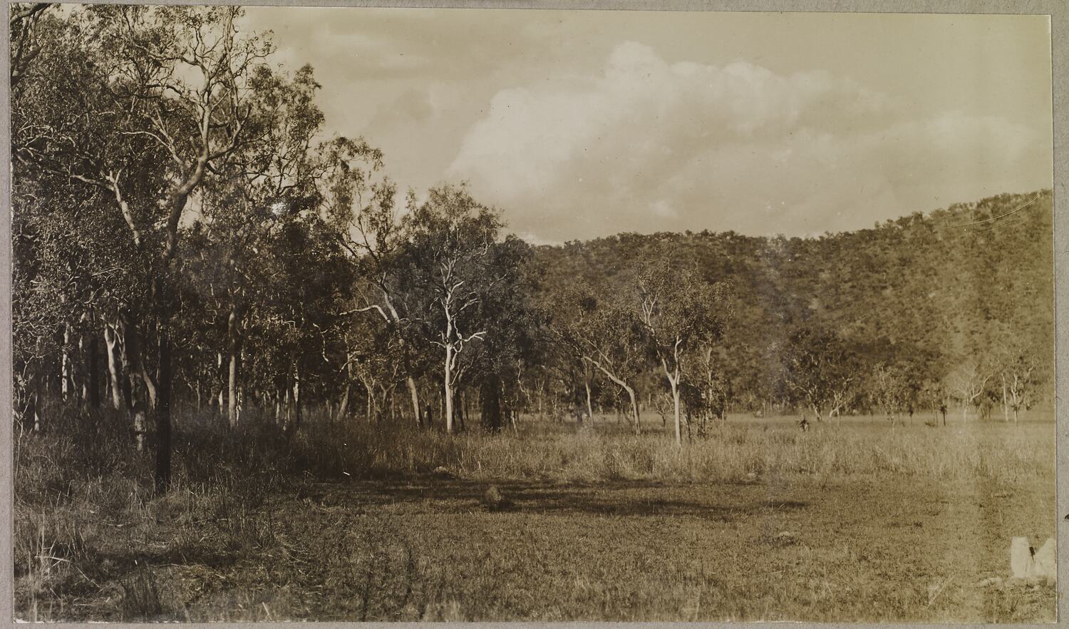 Photograph. Daly River, Fitzmaurice, Northern Territory, Australia. /04 ...