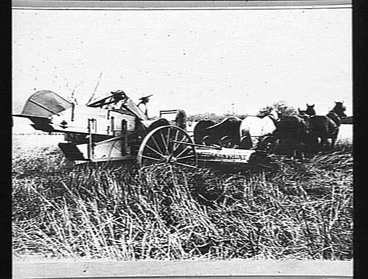 Photograph - H.V. McKay Pty Ltd, Farm Equipment Manufacture & Field ...