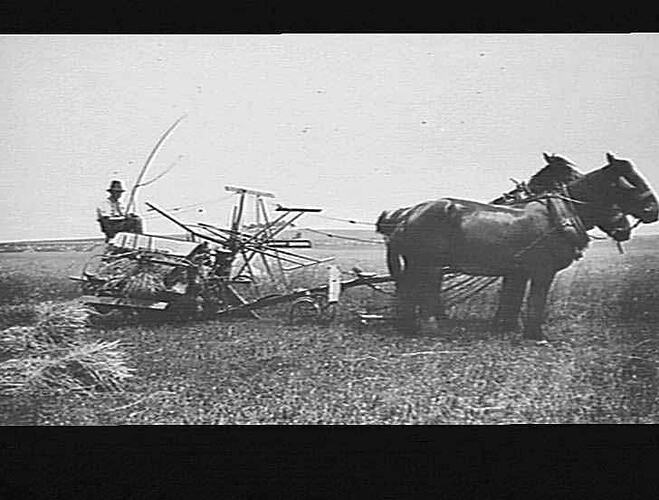 Photograph - H.V. McKay Pty Ltd, Farm Equipment Manufacture & Field ...