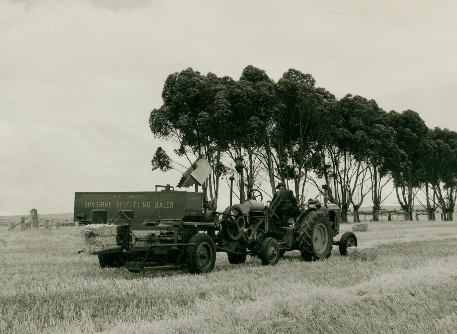 Photograph - Sunshine, Pickup Baler, 1954