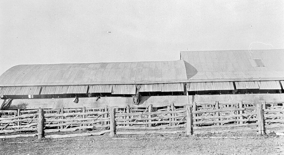 Negative - Woolshed at 'Portland Downs' Station, Isisford District ...