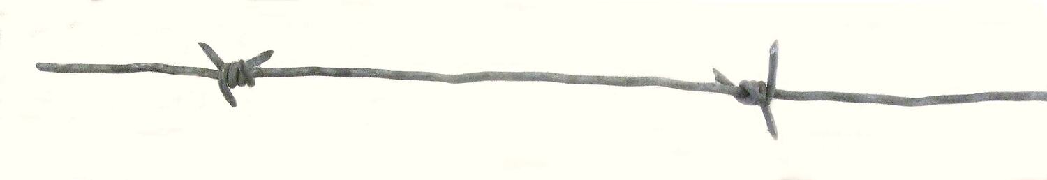 Barbed Wire Sample - Glidden, Single, Corrugated Strand, Four Point ...