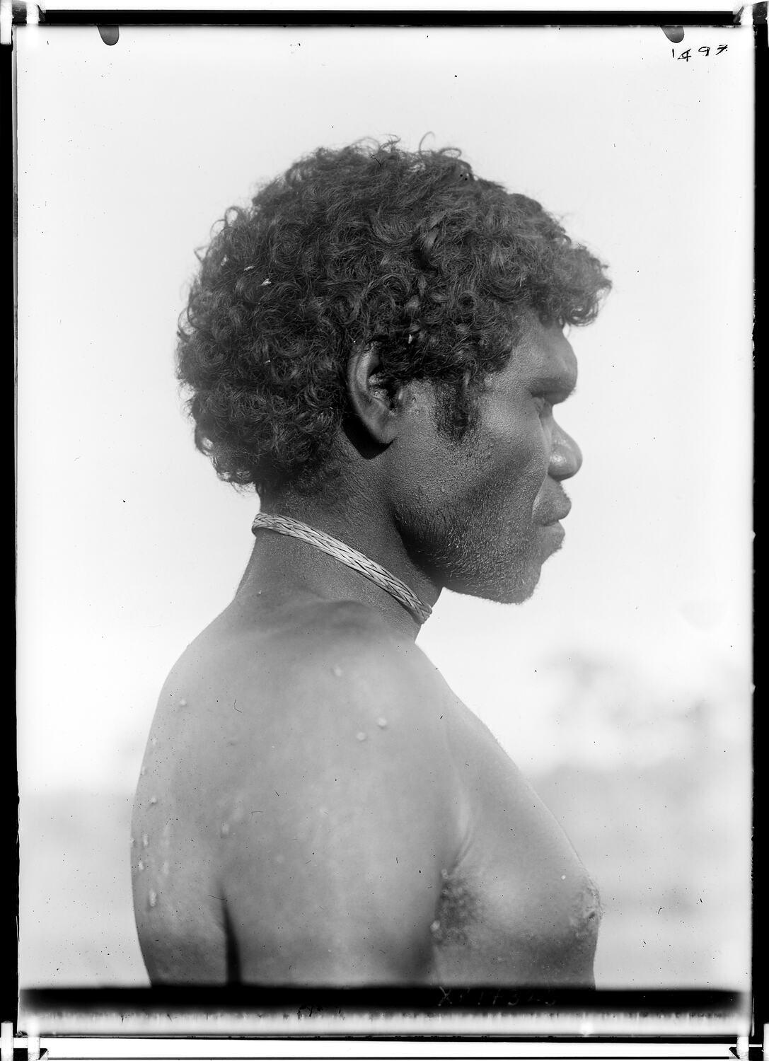 Glass plate. Yanyuwa. Borroloola, Gulf, Northern Territory, Australia ...