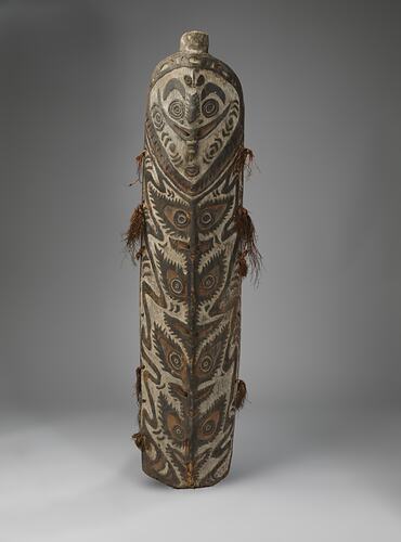 Shield. Yuat River, Lower Sepik, Sepik Provinces, Papua New Guinea. pre ...
