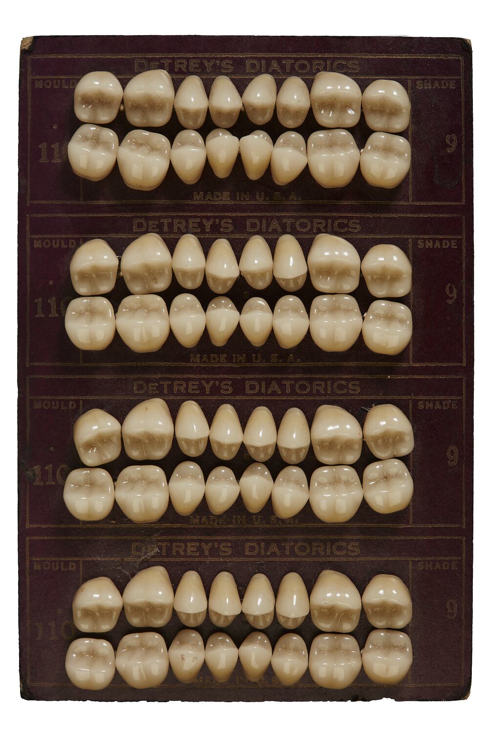 Artificial Teeth - Porcelain Cuspid & Molar, DeTrey's Diatorics, circa 1925