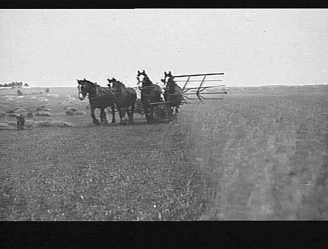 Photograph - H.V. McKay Pty Ltd, Farm Equipment Manufacture & Field ...