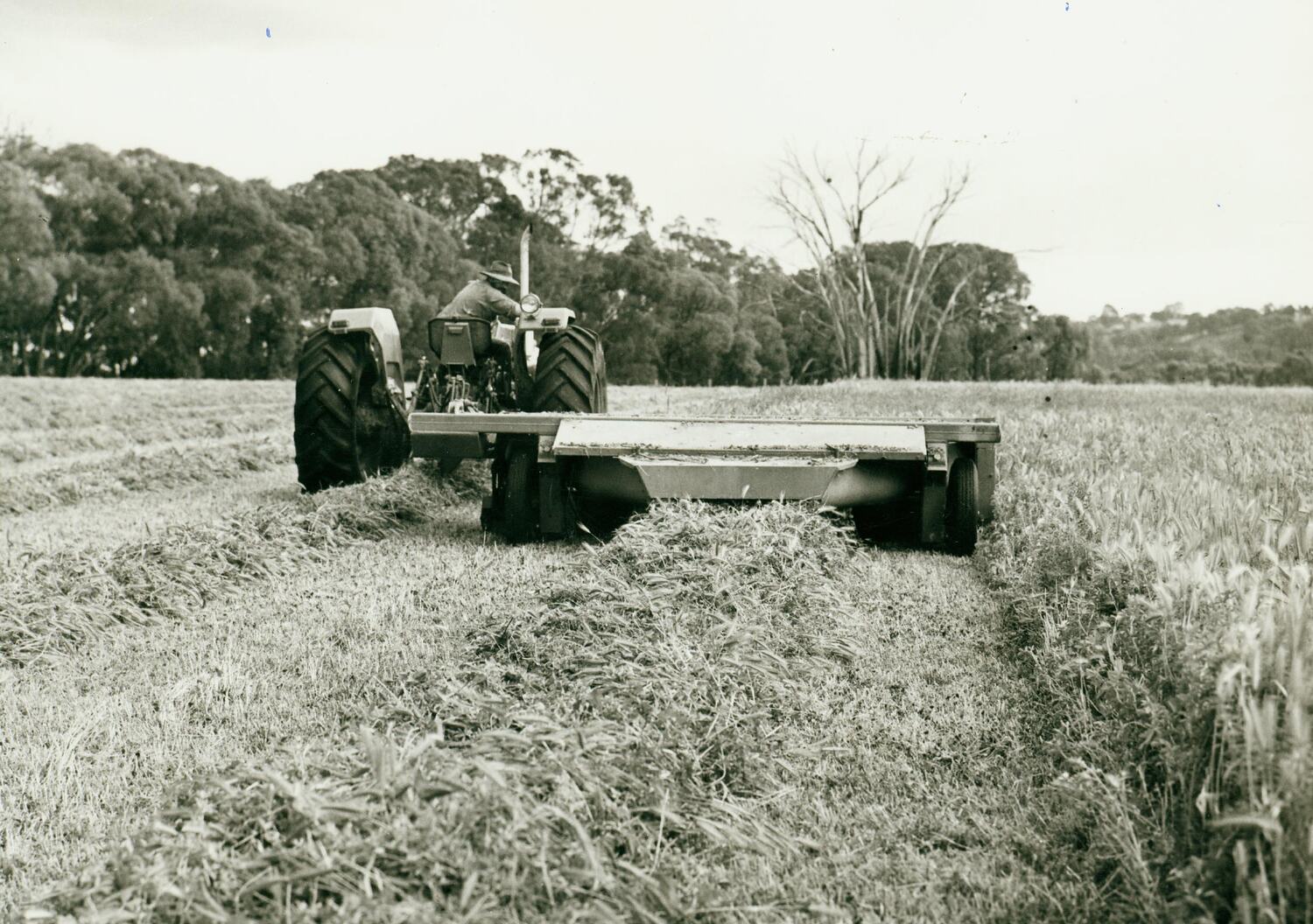 Photograph - Massey Ferguson, Hay Windrower, circa 1970
