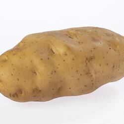 Potato Model - Cook's Favorite, Victoria, 1946