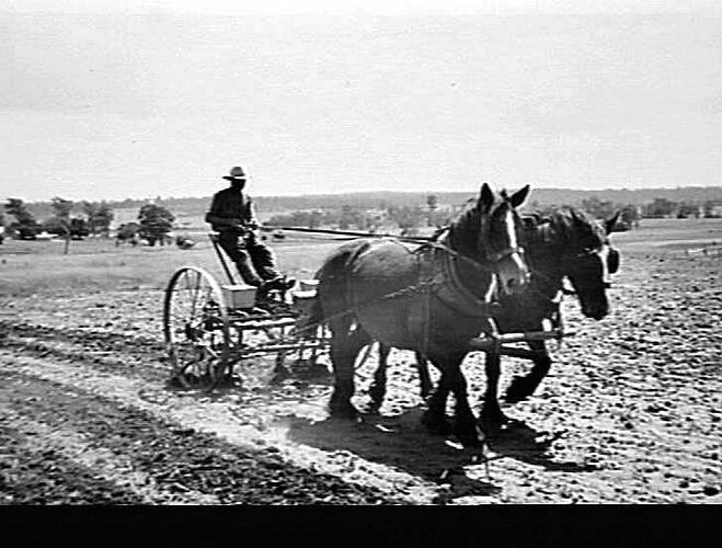 Photograph - H.V. McKay Massey Harris, Farm Equipment Manufacture ...