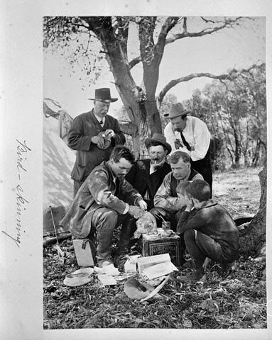 Photograph - 'Bird-Skinning', by A.J. Campbell, Phillip Island ...