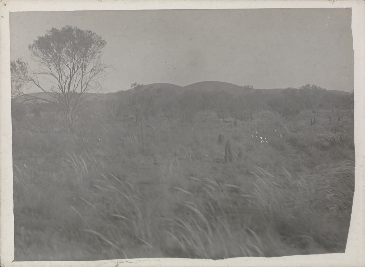 Photograph. Central Mount Stuart, Central Australia, Northern Territory ...