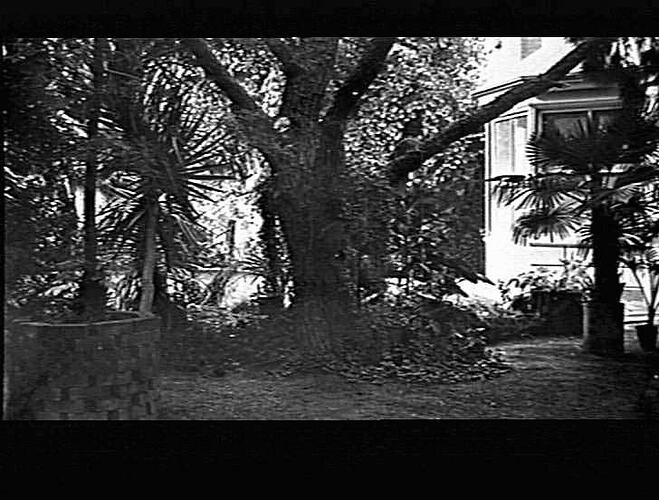 Negative - by Lilian L. Pitts, Merrigum, Victoria, circa 1910s